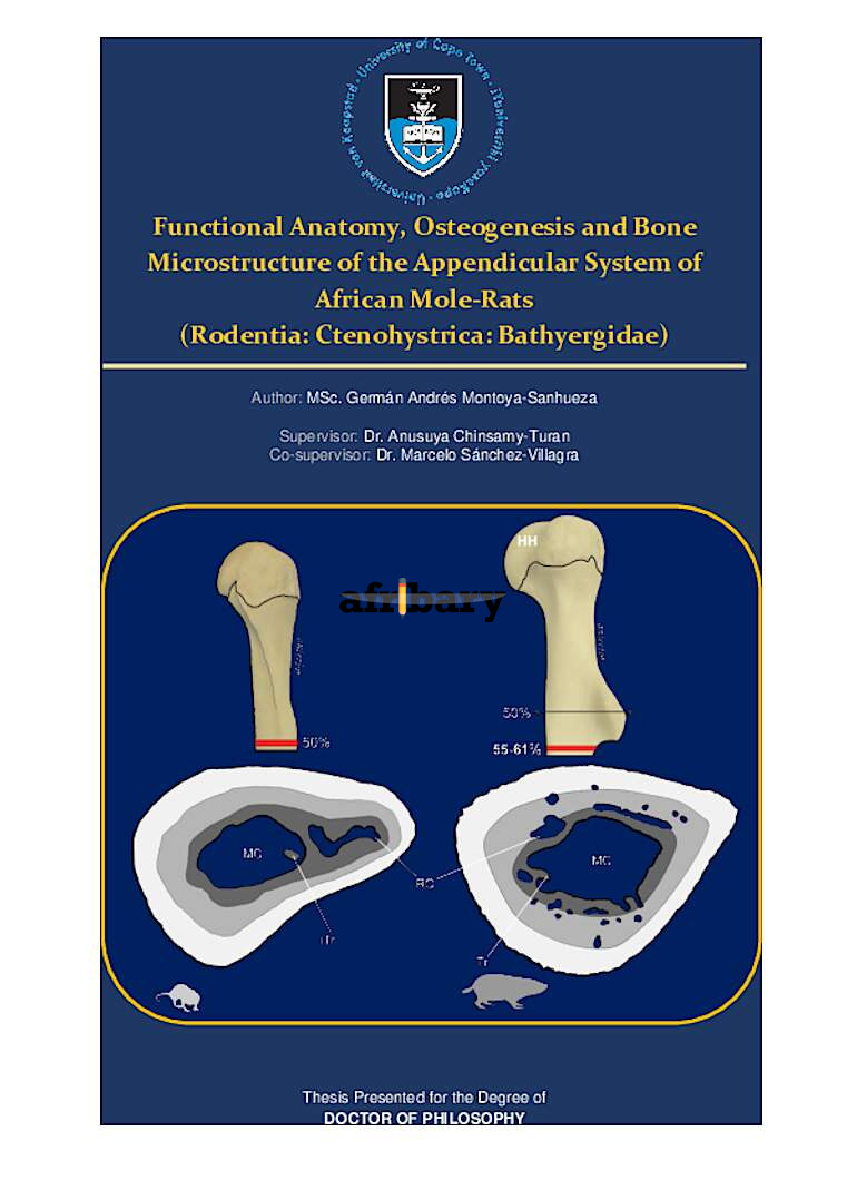 Functional Anatomy, Osteogenesis and Bone Microstructure of the ...