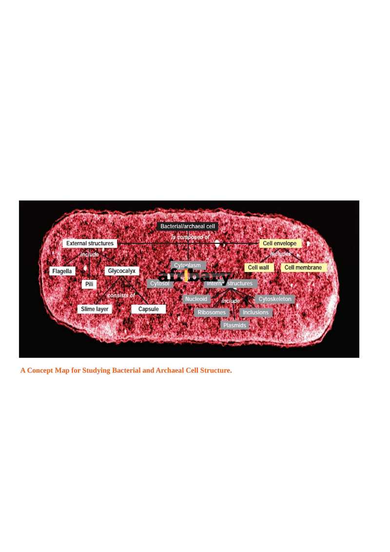 MCB 315: Bacterial Cell Structure | Afribary