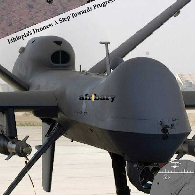 Ethiopia's Drones: A Step Towards Progress or an Aggravated Civil War ...
