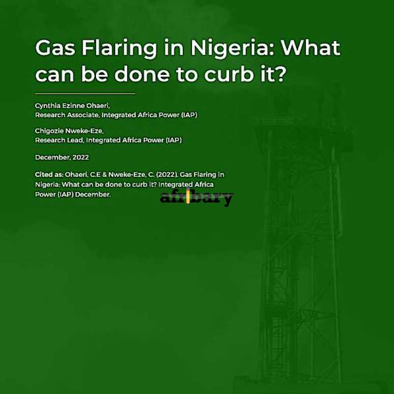 Gas Flaring in Nigeria: What Can be Done to Curb It by Cynthia Ohaeri ...