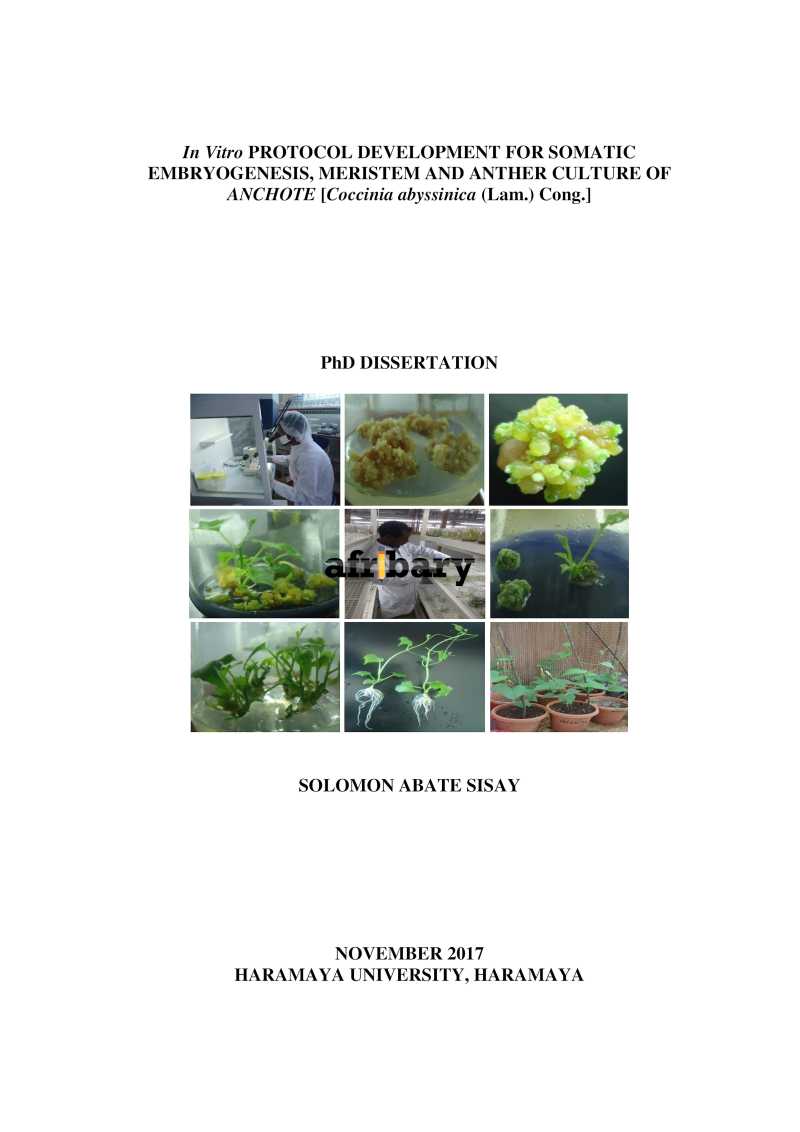 In Vitro PROTOCOL DEVELOPMENT FOR SOMATIC EMBRYOGENESIS, MERISTEM AND ...