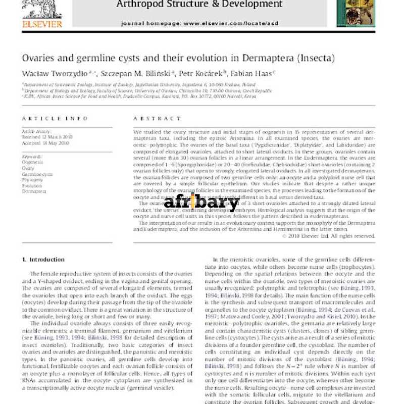 Ovaries and germline cysts and their evolution in Dermaptera (Insecta ...