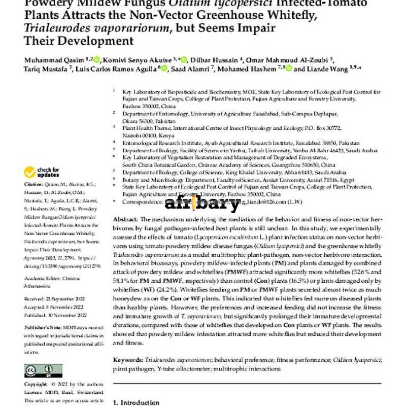 Powdery Mildew Fungus Oidium lycopersici Infected-Tomato Plants ...