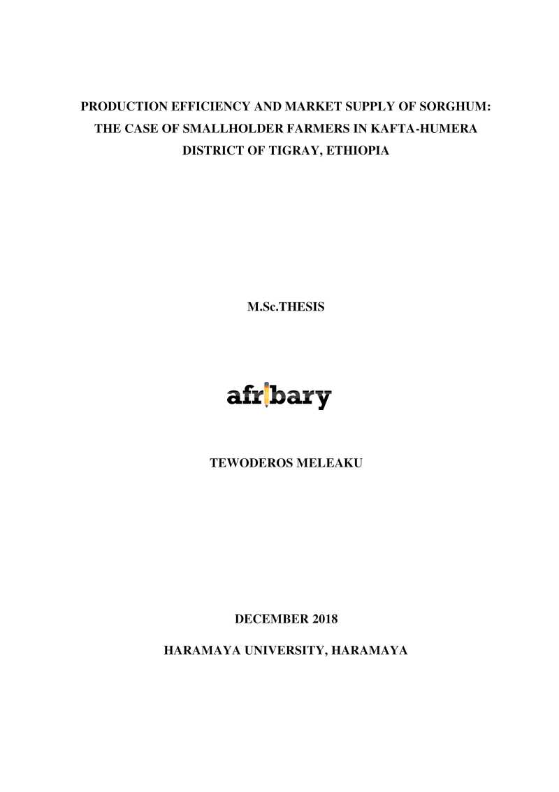 PRODUCTION EFFICIENCY AND MARKET SUPPLY OF SORGHUM: THE CASE OF ...