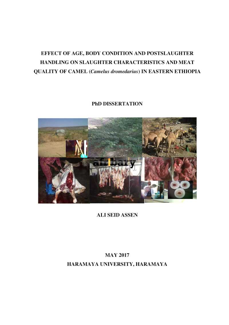 EFFECT OF AGE, BODY CONDITION AND POSTSLAUGHTER HANDLING ON SLAUGHTER CHARACTERISTICS AND MEAT ...