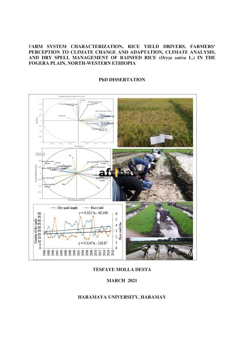 FARM SYSTEM CHARACTERIZATION, RICE YIELD DRIVERS, FARMERS’ PERCEPTION ...