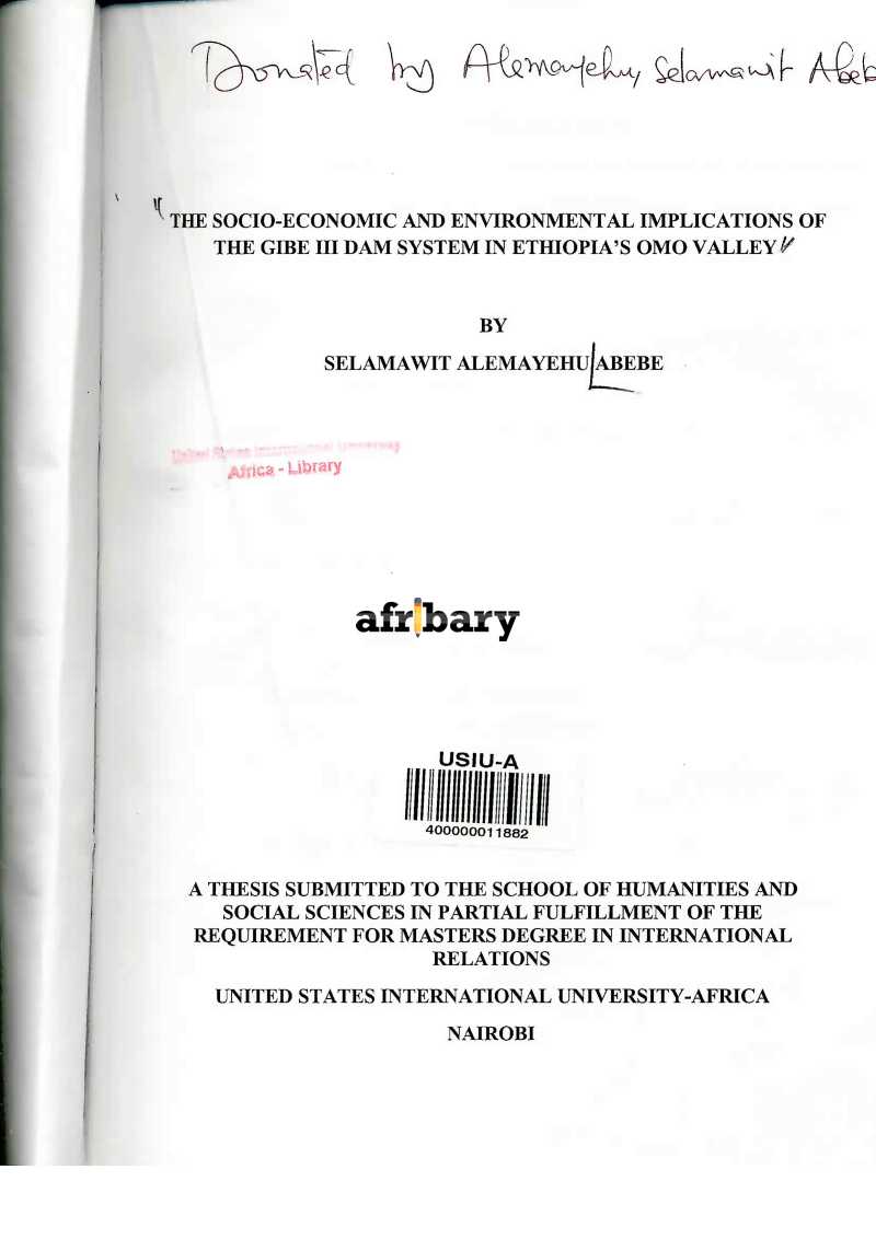 The Socio-Economic and Environmental Implications of the Gibe Iii Dam ...